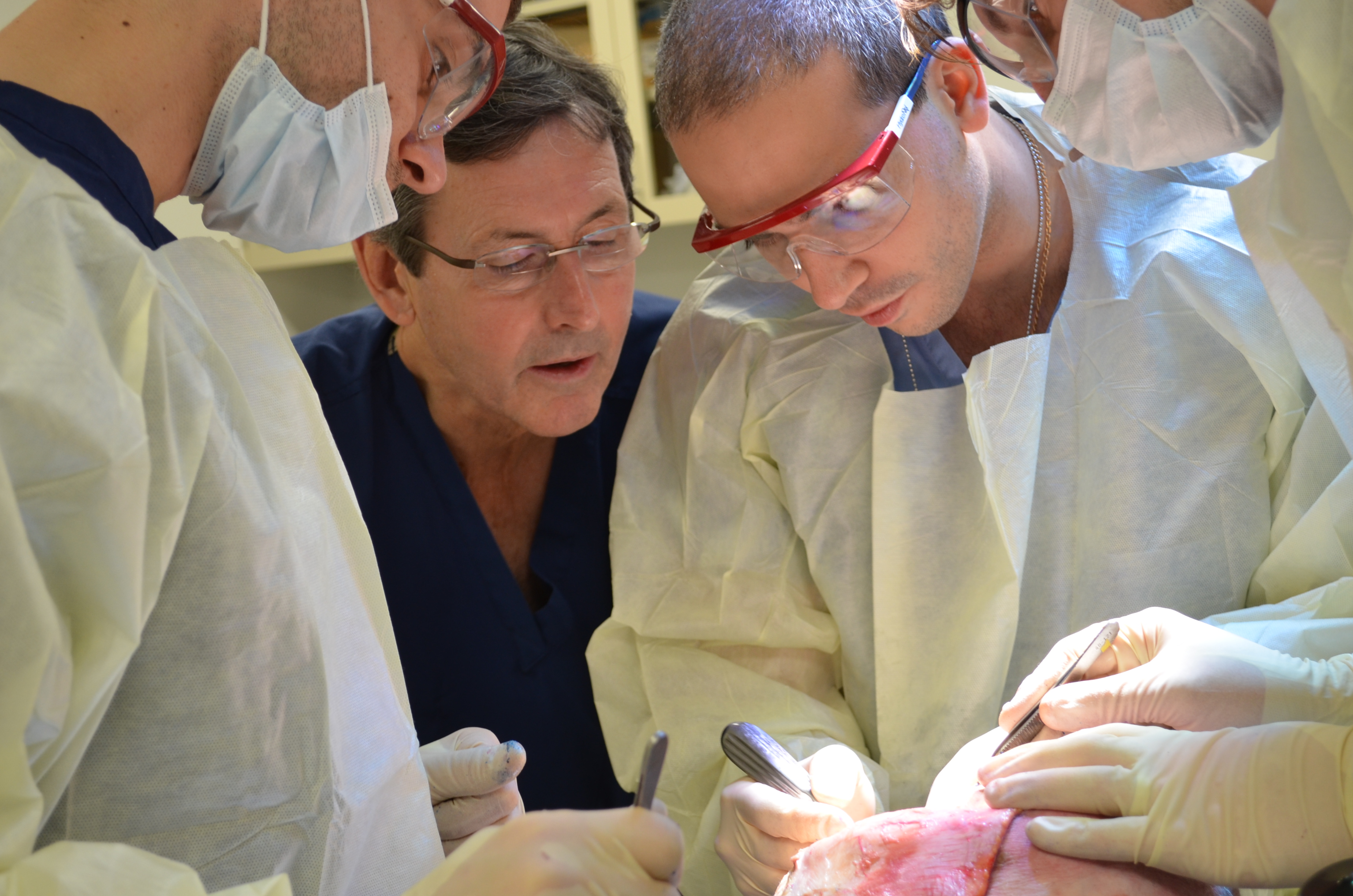 Resources for Neurosurgical Residency Application and Beyond